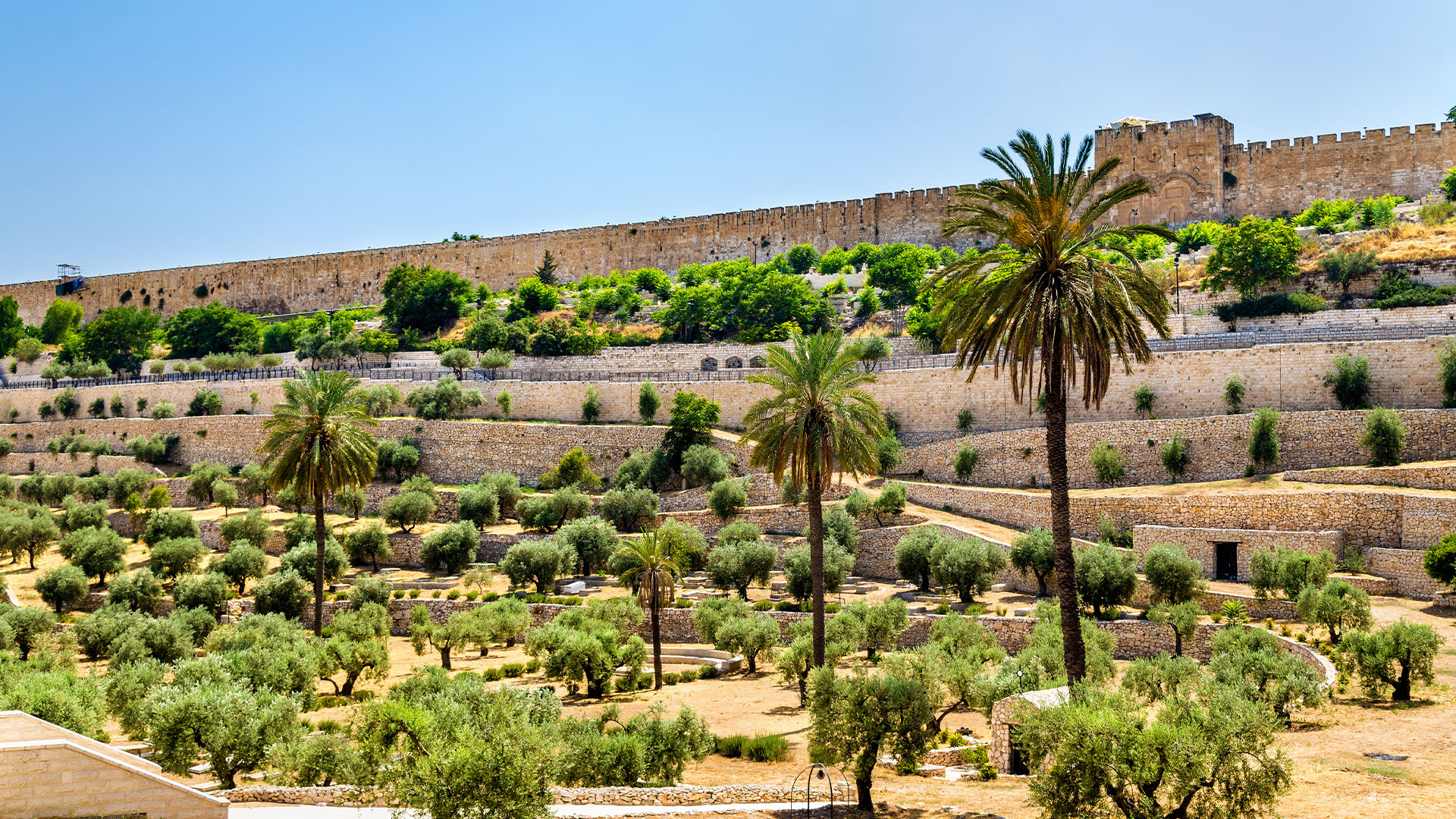 The Reclamation of the Land | Jews | Lamb and Lion Ministries