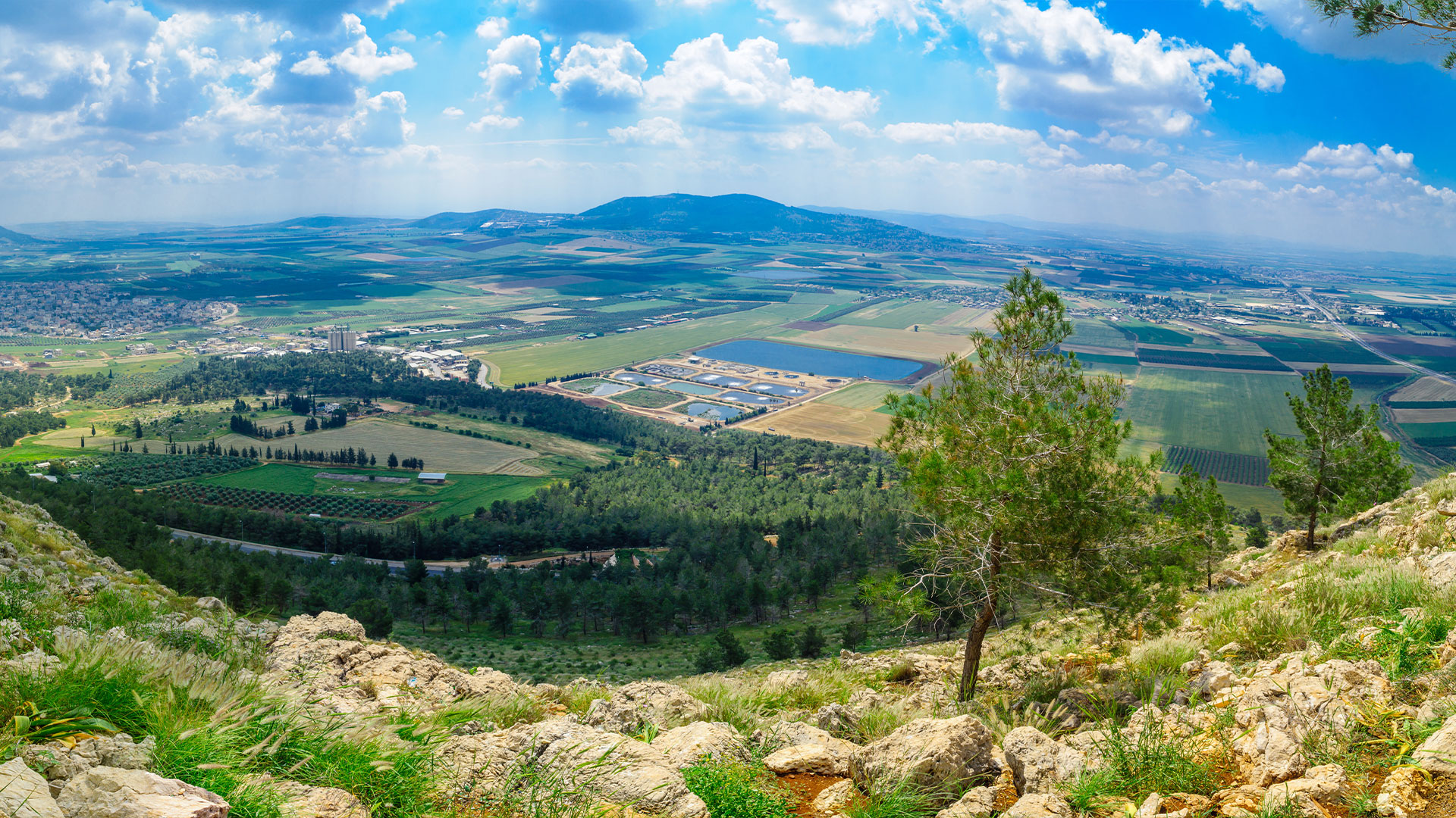 The Land of Israel | Jews | Lamb and Lion Ministries