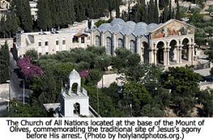 The Olivet Discourse | Prophetic Issues | Lamb and Lion Ministries