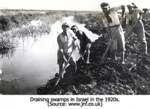The Reclamation of the Land | Jews | Lamb and Lion Ministries