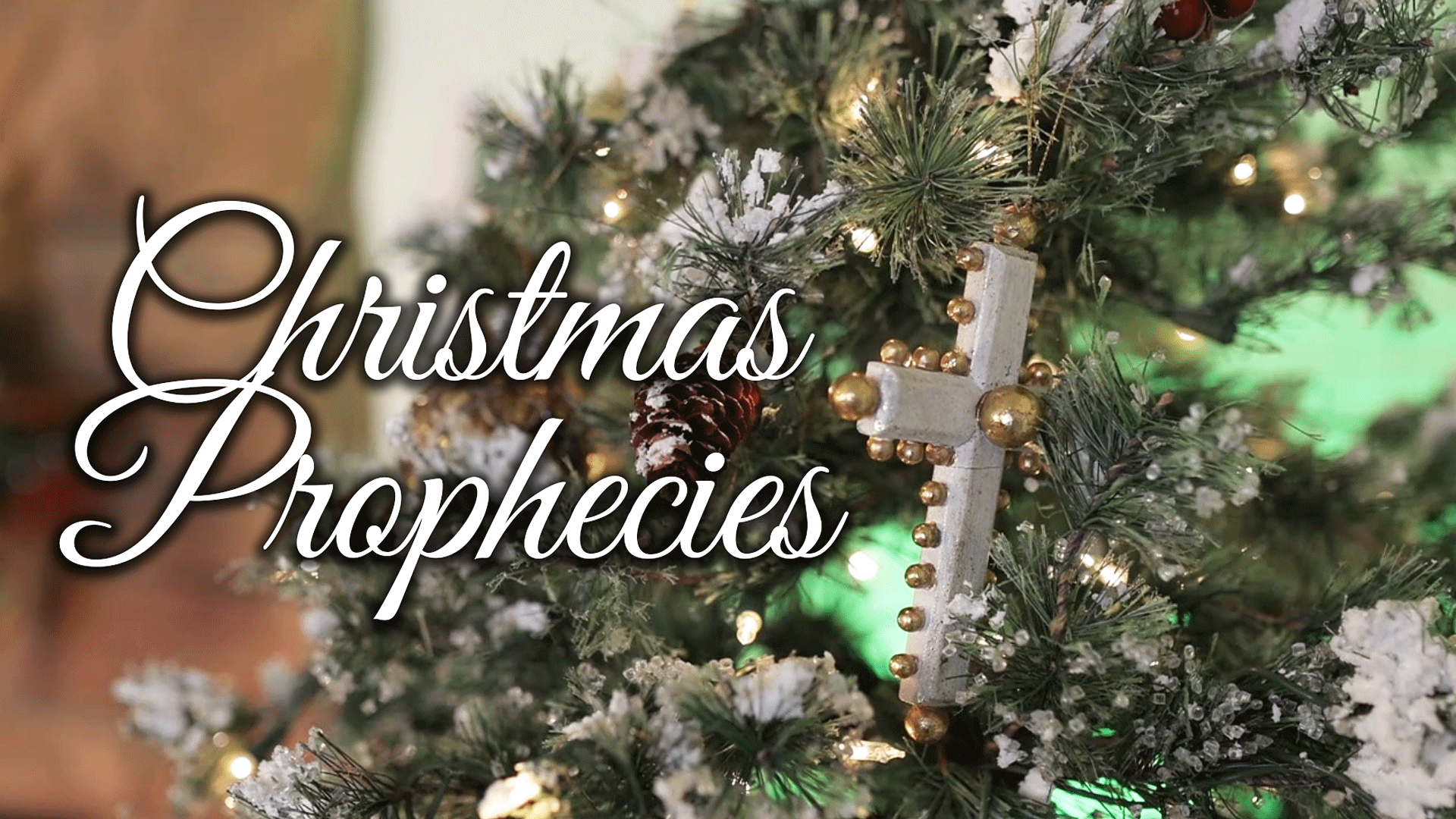 Christmas Prophecies | Bible Prophecy | Lamb and Lion Ministries